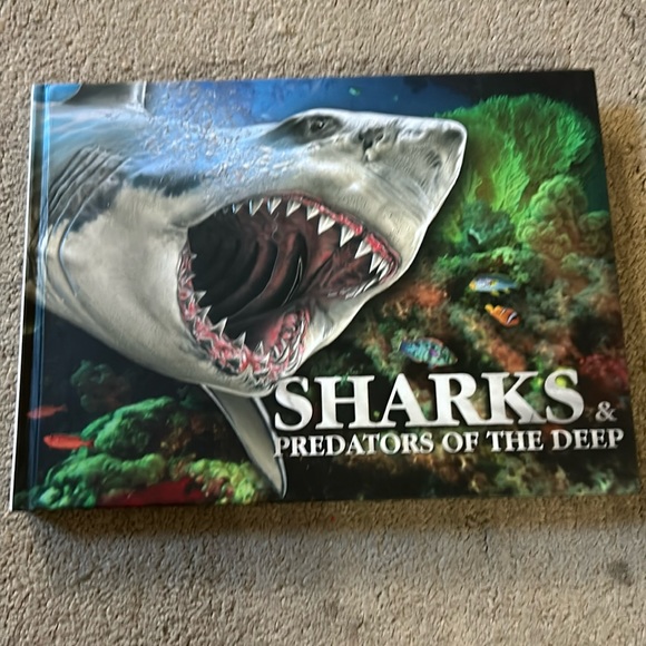 Other | New Sharks Predators Of The Deep Book | Poshmark